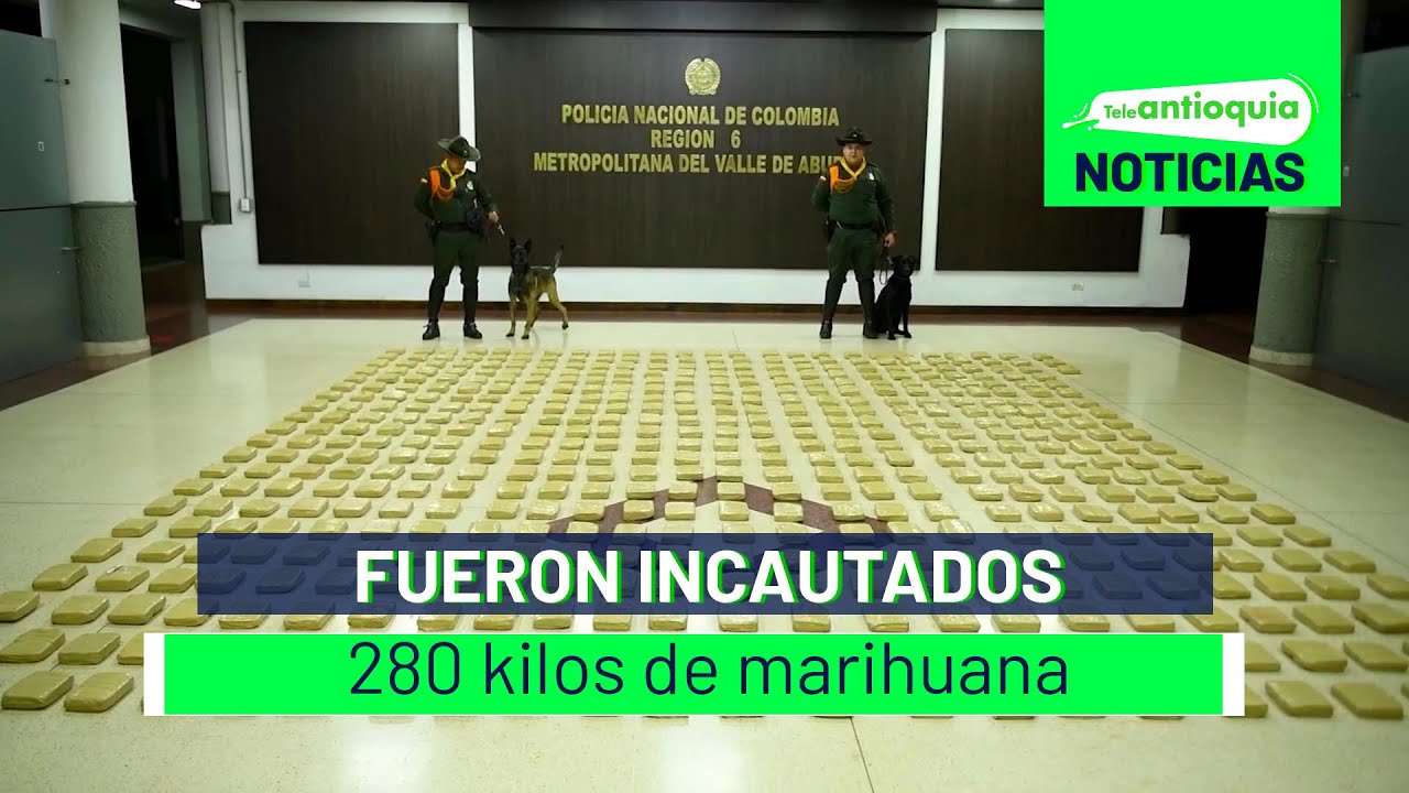 Fueron incautados 280 kilos de marihuana - Teleantioquia Noticias