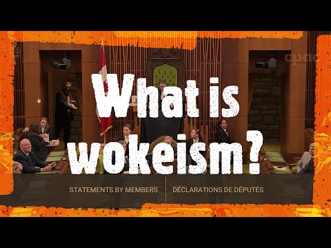 What is wokeism?