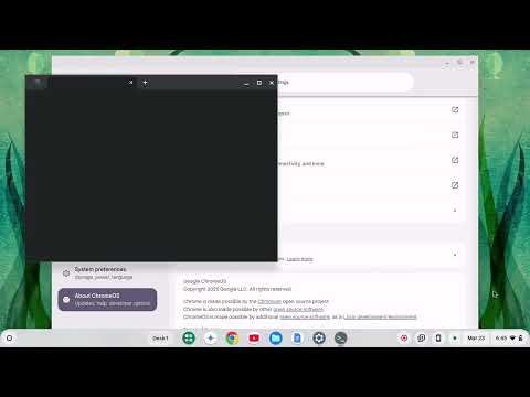 How to Install Linux on a Chromebook in 2025 (real time, no editing)
