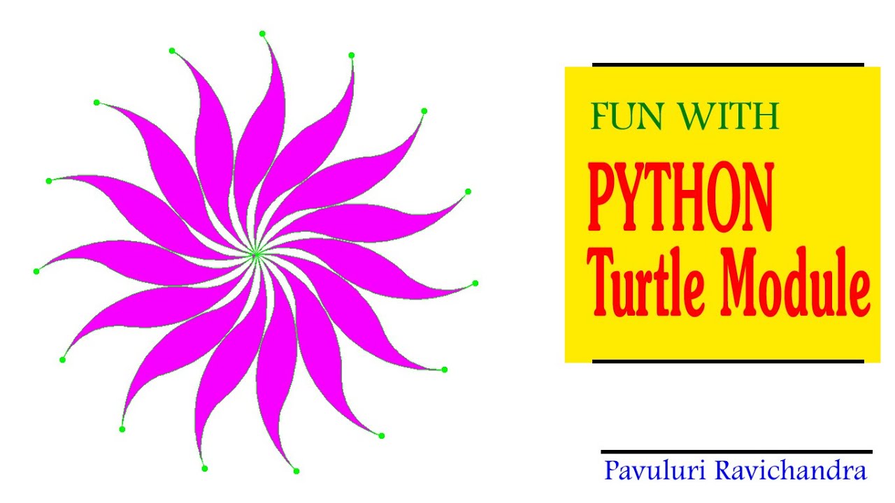 DRAWING CURVED SHAPE FLOWER IN PYTHON TURTLE MODULE