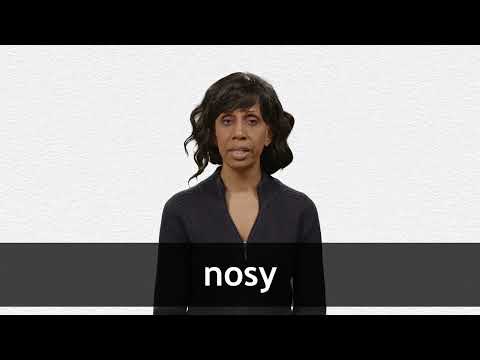 How to pronounce NOSY in American English