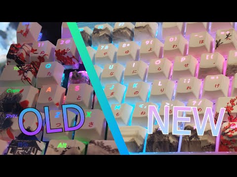 Upgrading to the Wooting 80 HE from a Mechanical Keyboard