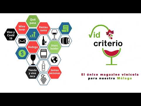 ¿Qué es Magazine Vidcriterio?