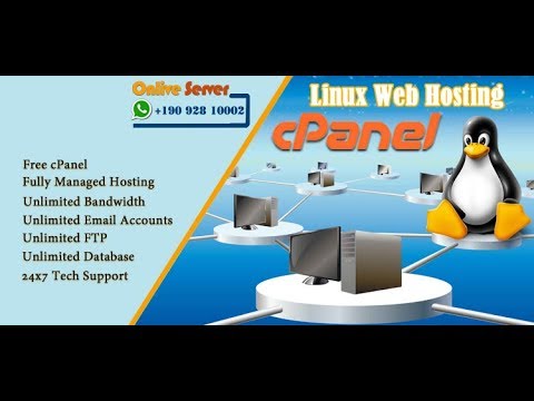 How to Buy Cheap cPanel Web Hosting from Onlive Server