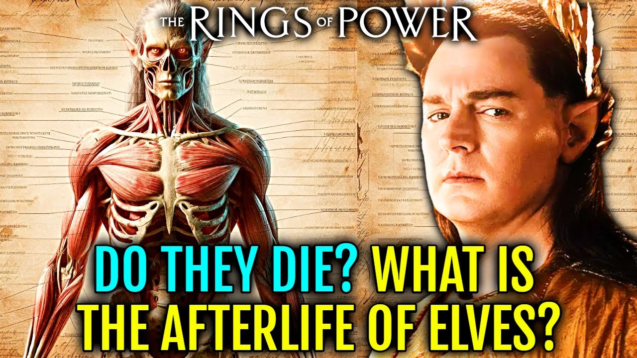 Elves (LOTR) Anatomy Explored - Are Elves Truly Immortal? What Happens In Their Afterlife?