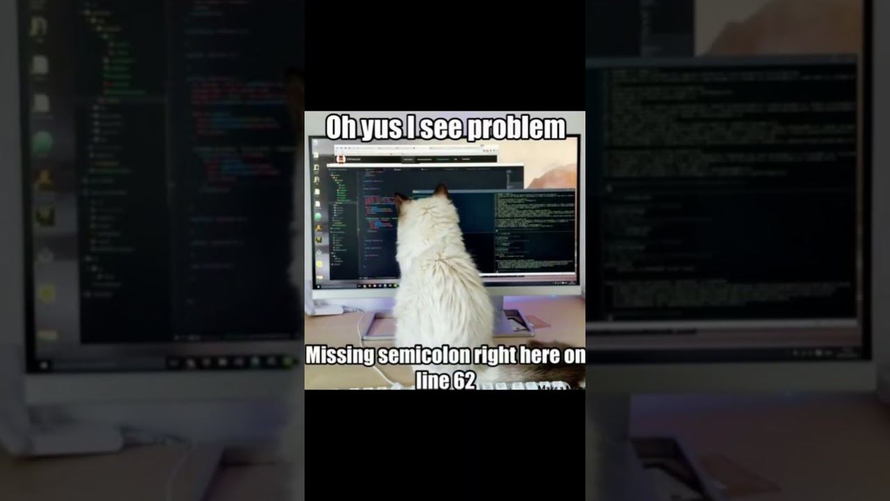 computer: cat coding style 1 (2022) #shorts #funnyvideo #techguraini #viralvideo #trending #computer