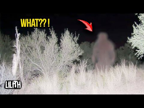 BORDER AGENTS Can't Explain What's Happening in Arizona