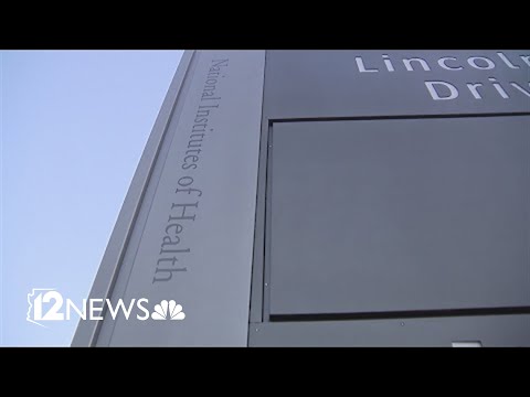 HHS employees offered voluntary buyouts in unsigned email
