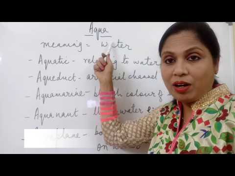 Vocabulary - Class 7- aqua /arch - Root Prefix Suffix Method- CAT, Gre, Bank PO, IBPS, SAT