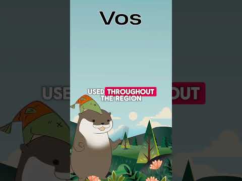 How does Spanish "Vos" work?