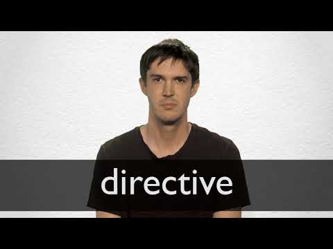 DIRECTIVE——含义、同义词和翻译| 柯林斯英语词典资源