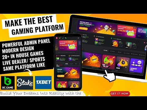 Make a casino website like stake BC games | Make Crypto casino Gaming Website |