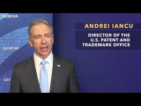 Patent Protection at the Core of Economic Development