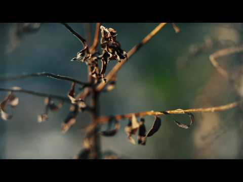 Abøn "TUNDRA" feat hisaka