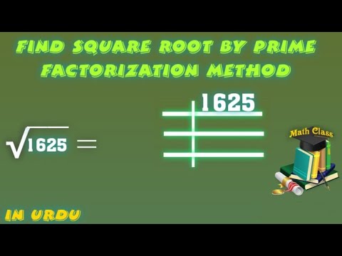 Find Square Root by Prime Factorization Method in Urdu, Square Root of 1625 (√1625)