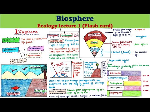 Biosphere | Definition | Components | Importance | Ecology lecture 1 | UG | PG | UPSC