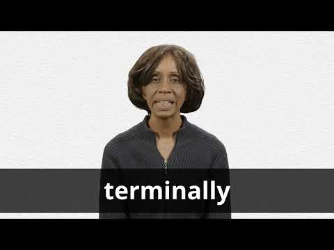 TERMINALLY definition in American English | Collins English Dictionary