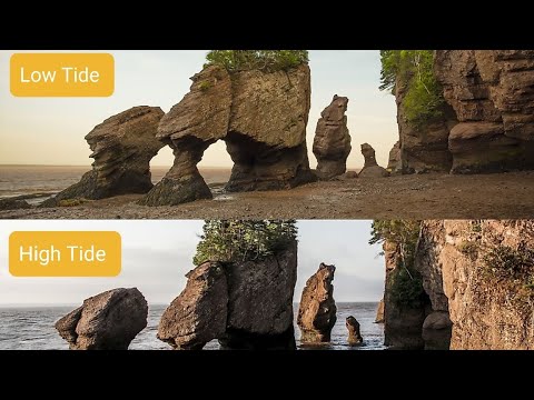 Tides explained in Tamil ! What is Tide! How tide works ?