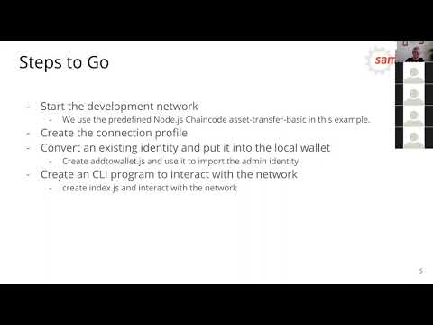 How to Access the --peer-devmode Network with a node.js Client Application