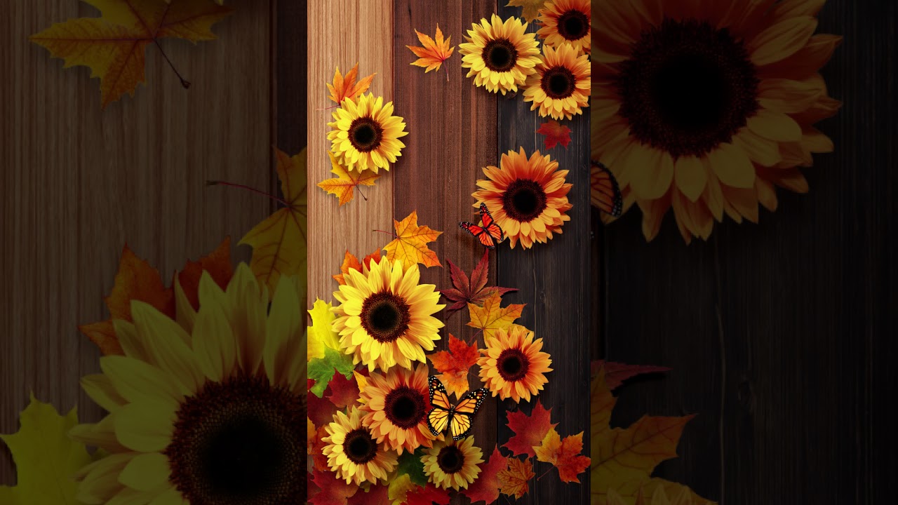 Wooden golden sunflower wallpaper