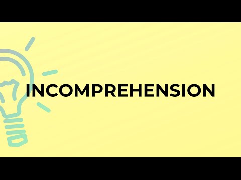 What is the meaning of the word INCOMPREHENSION?