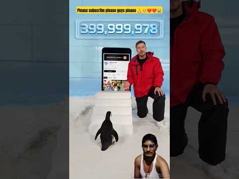Can I Teacher a Penguin To subscribe? #shortvideo #mrbeast #shorts #song