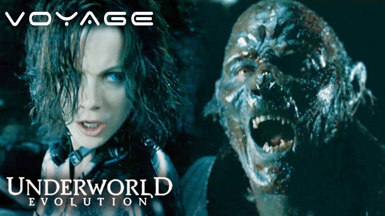 Underworld: Evolution | Selene Battles The Hybrids | Voyage