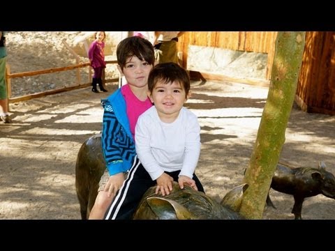The perfect family getaway! Palm Desert reviewed by Totmama!