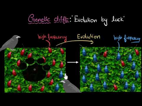Genetic drift | Heredity & Evolution | Biology | Khan Academy