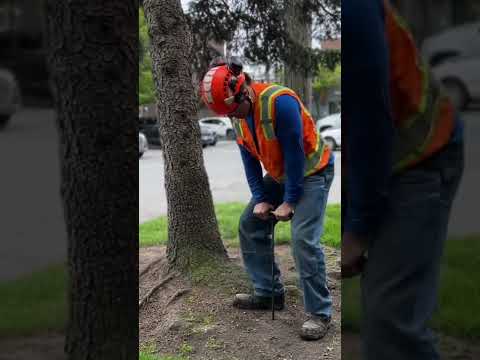 What is a Soil Probe (soil penetrometer)?
