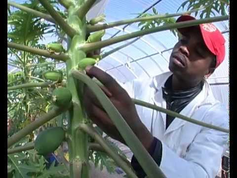 College of Agriculture, Engineering & Science Promotional Video