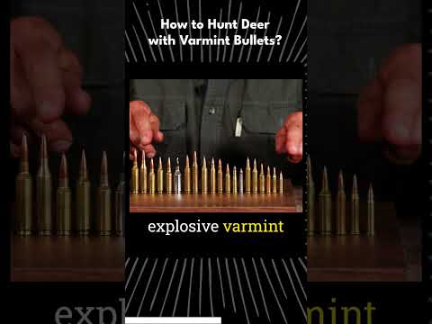 How to Hunt Deer with Varmint Bullets