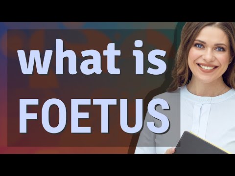 Foetus | meaning of Foetus