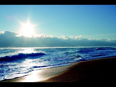 Places to see in ( West Palm Beach - USA )