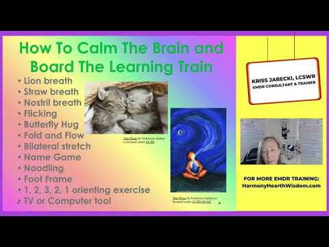 How Does EMDR Therapy Heal the Brain from Trauma? (EMDR Mini Training Clip)
