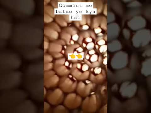 shorts video ##