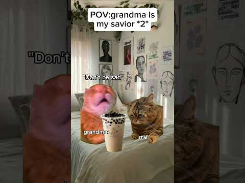 Cat memeπΉ When grandma is our Savior *2* #cat #meowmemes #memearchive #funny#adorable #relatblememes
