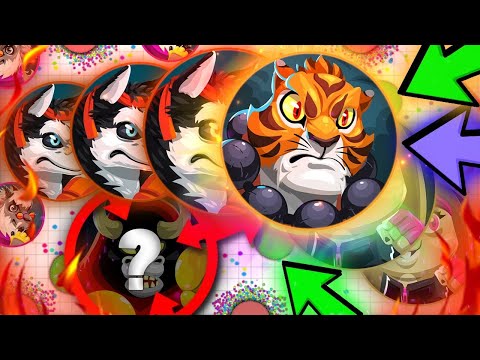 MK Agar: Secret Hackzzzzzz In Action!!!
