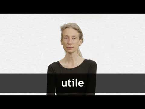 English Translation of “UTILE” | Collins French-English Dictionary