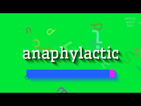 How to say "anaphylactic"! (High Quality Voices)