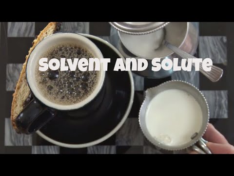 Solvent Solute Solution What is the difference?