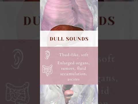 Let's learn abdominal percussion sounds together 🩺