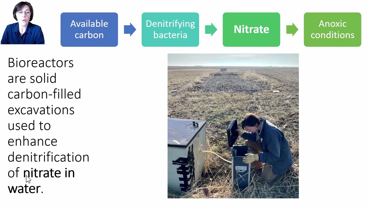 Module 10, Video 1: Bioreactor Introduction