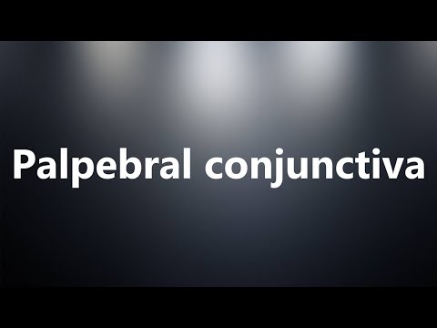 Palpebral conjunctiva - Medical Definition and Pronunciation
