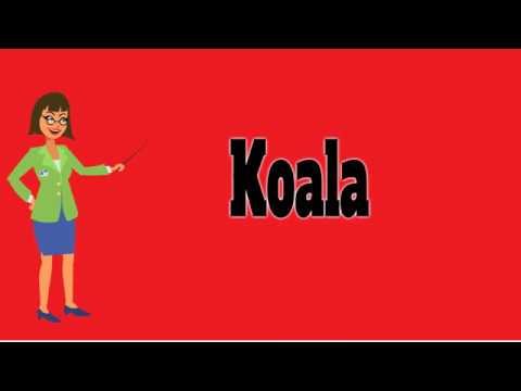 Koala | Pronunciation | Meanings | Examples | Definition | Animals Name