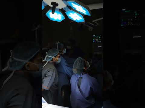 Bicornuate Uterus and IVF: A Journey of Hope | Dr Rhythm Gupta - IVF specialist at Excel IVF