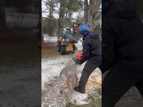 Is the Husqvarna 572XP one of the best saws on the market?