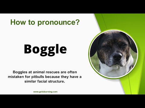 How to pronounce Boggle Correctly in English