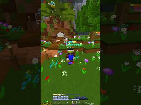 This Book gives you FREE STATS in Hypixel Skyblock