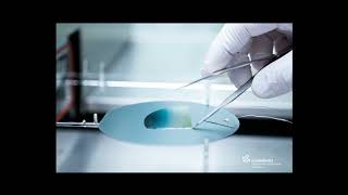 Balahibo Studio Reviews and Clients | DesignRush